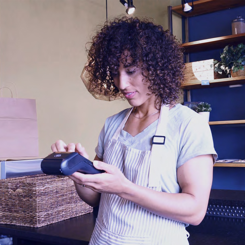 product-ingenico-dx8000 | ELCOM